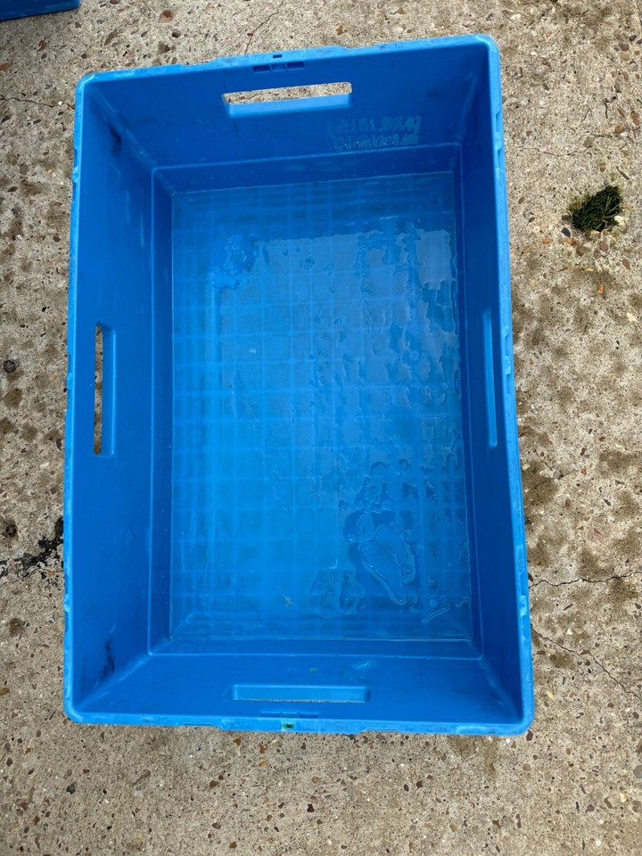 8 X 38ltr Heavy Duty Plastic Storage Tote Boxes With Lids 60 x 40 x ...