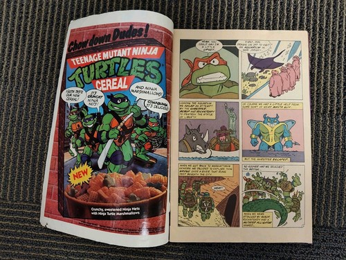 1989 Series Eastman and Laird's Teenage Mutant Ninja Turtles Adventures ...