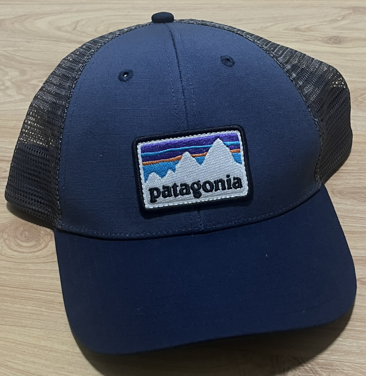 PATAGONIA CLASSIC PATCH LOGO MESH BACK TRUCKER ADJUST… - Gem