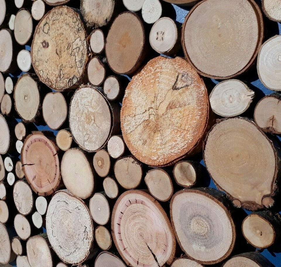 Decorative fireplace display logs Wood Slices Rustic decor Wall craft ...