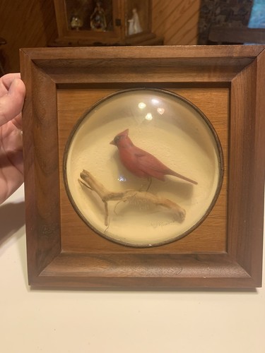 William Reinbold - Cardinal - Bird Carving Diorama Curved Glass Folk ...