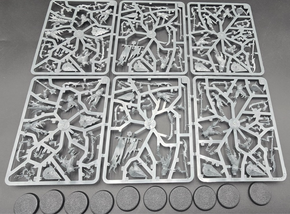 Warhammer AoS Soulblight Gravelords Barrow Guard NEW NO BOX | eBay