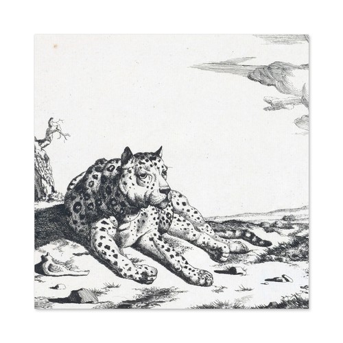 Bye Potter Lying Leopard From Front Big Cat Etching Wall Art Canvas ...