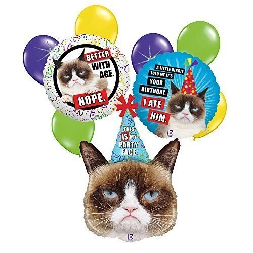 Grumpy Cat In Party Hat