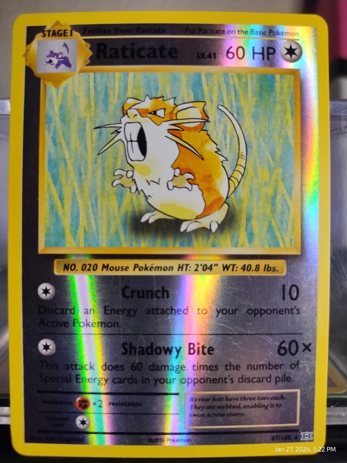 Pokemon Card Raticate Reverse Holo 67/108 2016 Rare XY Evelutions | eBay