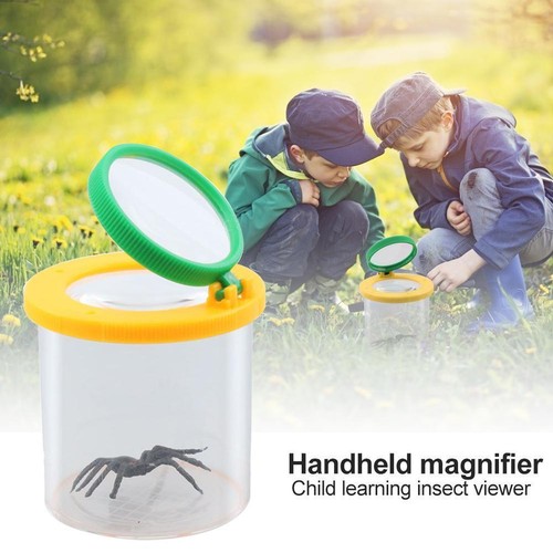 Cylindrical Crawler Spider Insect Box Magnifying Glass Magnifier ...