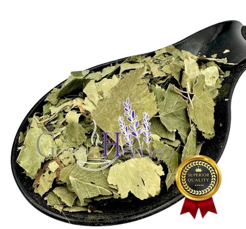 Common Birch Dried Leaves Loose Herbal Tea 20g - 4.9kg Betula Pendula ...