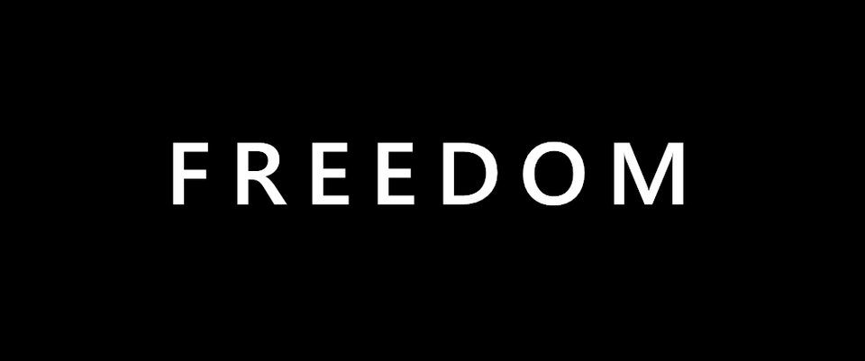 FREEDOM Decal Sticker - Vinyl Die Cut weatherproof - Charlie Kirk ...