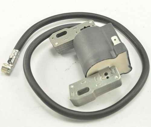 Ignition Coil fit Briggs and Straton 190402-190406 190407 190412 190415 ...