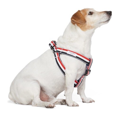 Thom Browne Tricolor Webbing Dog Harness Sz S | eBay