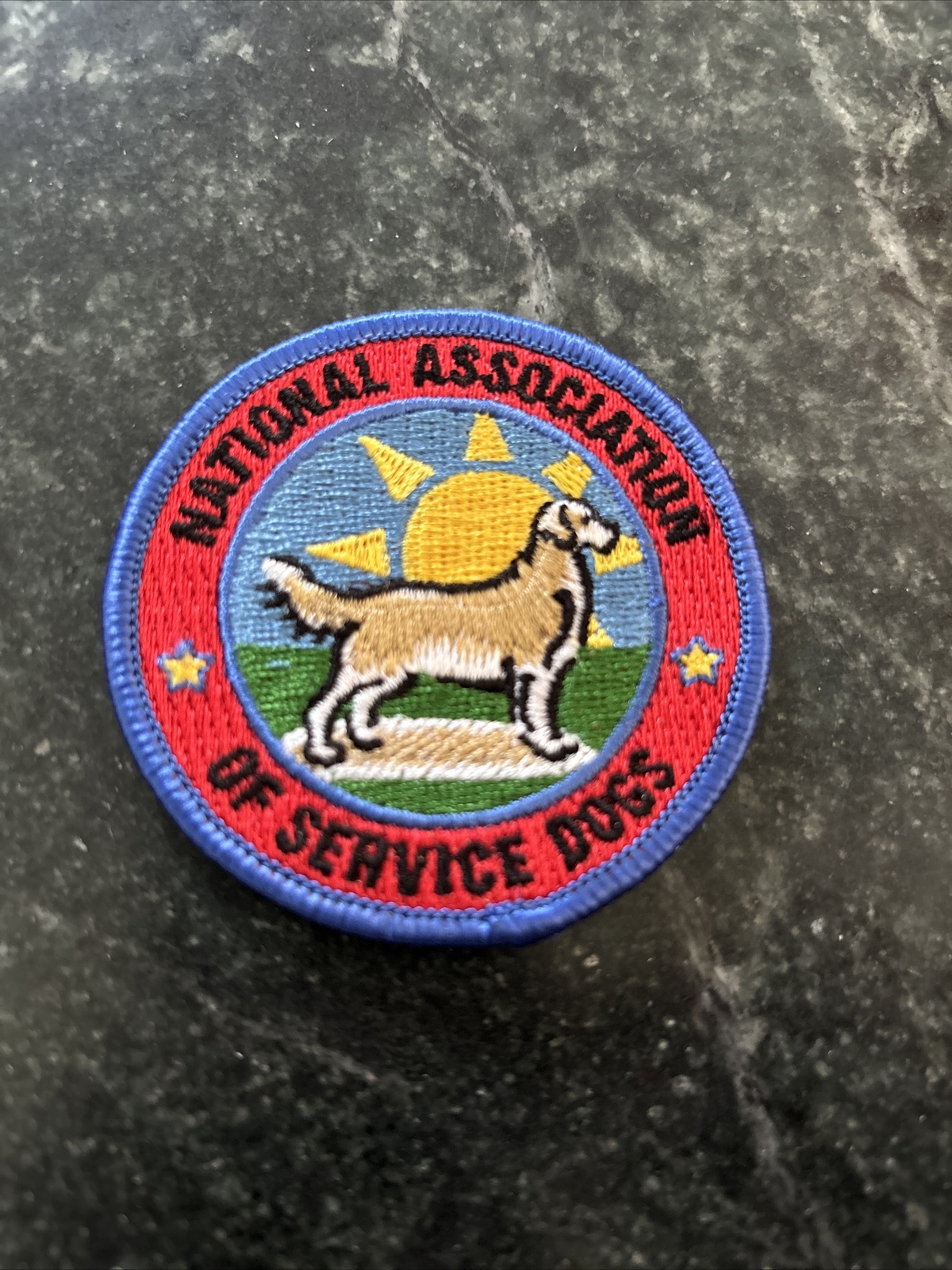 National Association Service Dogs Patch Rare Vtg logo Trucker hat Iron ...
