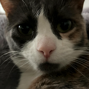 The_Colorado_Attic | eBay UK Stores