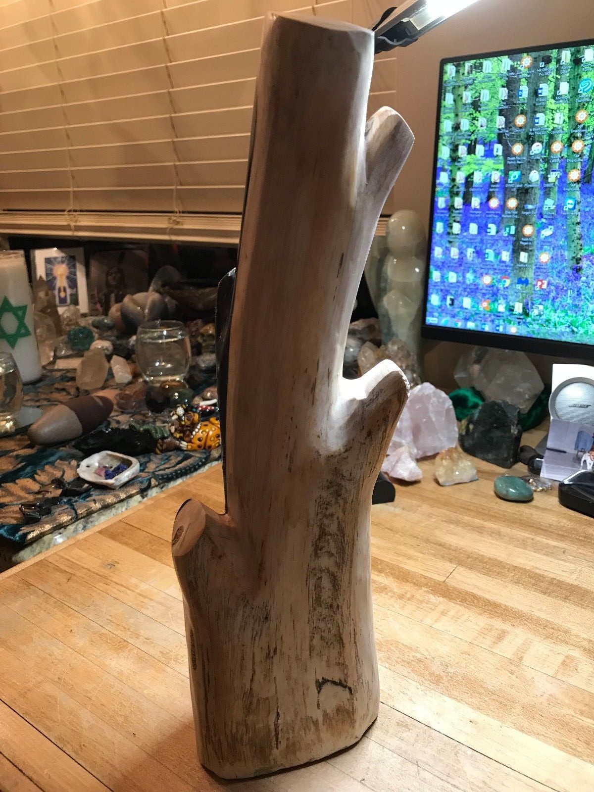 Prettified Wood Fossilized Agatized Crystal Gemstone Large Tree ...