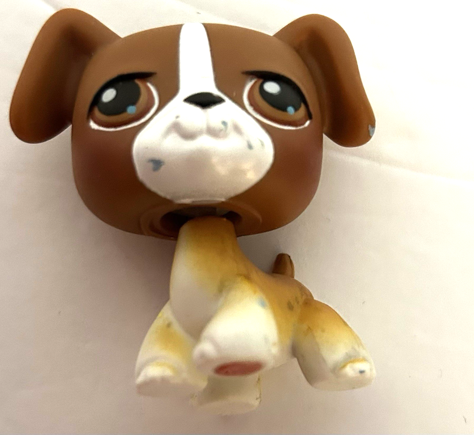 Authentic LPS Littlest Pet Shop Dogs Lot of 6 Hasbro Vintage | eBay