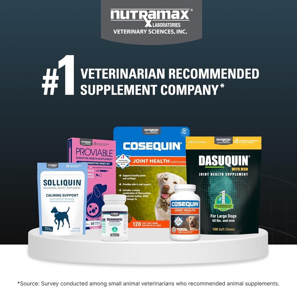 Nutramax Dasuquin with MSM Chewables, Large Dog, 150 Count | eBay
