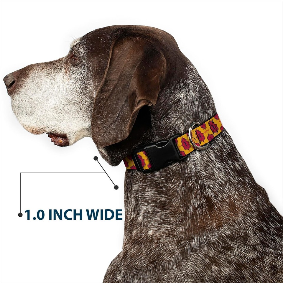 The Wizarding World of Harry Potter Pet Collar, Dog Collar Plastic ...