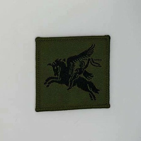 Military Tactical TRF Patch Rank Slide Regiment Badge British Army ...