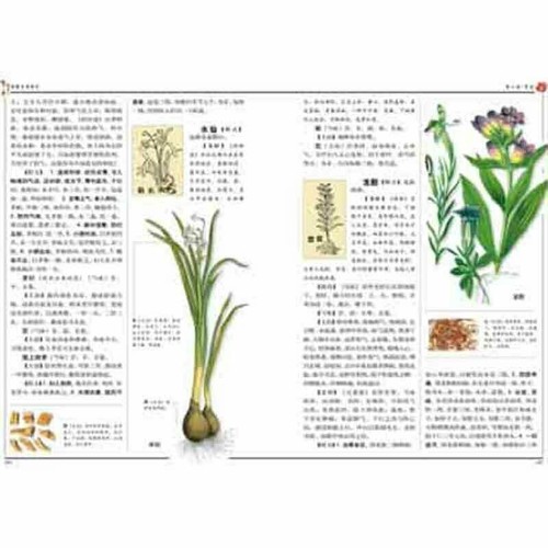 Compendium of Materia Medica Li Shizhen Chinese Traditional herbal ...