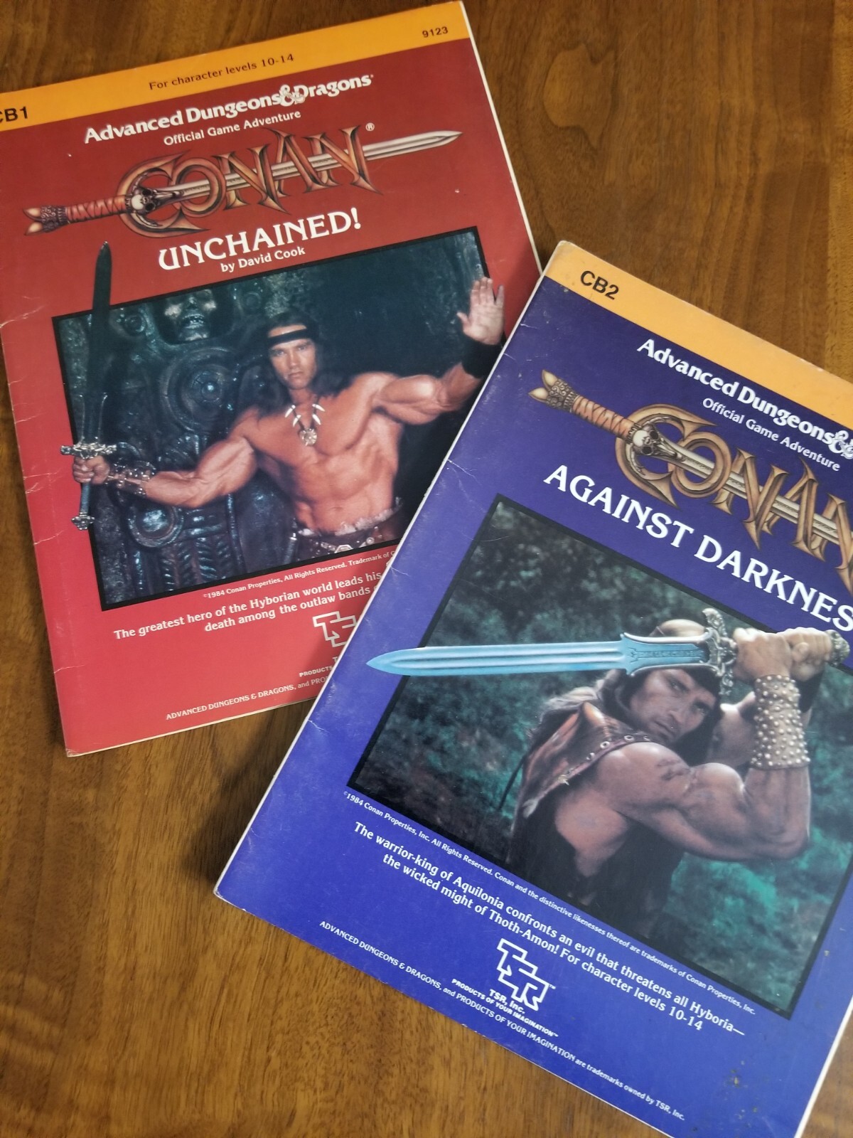 AD&D 1st Edition CB1 CB2 Conan Module Set Complete Unchained! Against ...