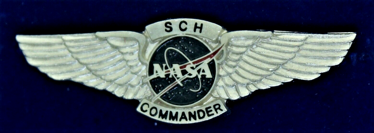 Nasa Commander Logo SpaceX Crew 3 Commander Raja Chari NASA