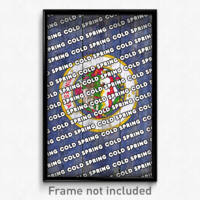 Cold Spring Minnesota Poster (MN City Souvenir 11x17 Town Print) | eBay