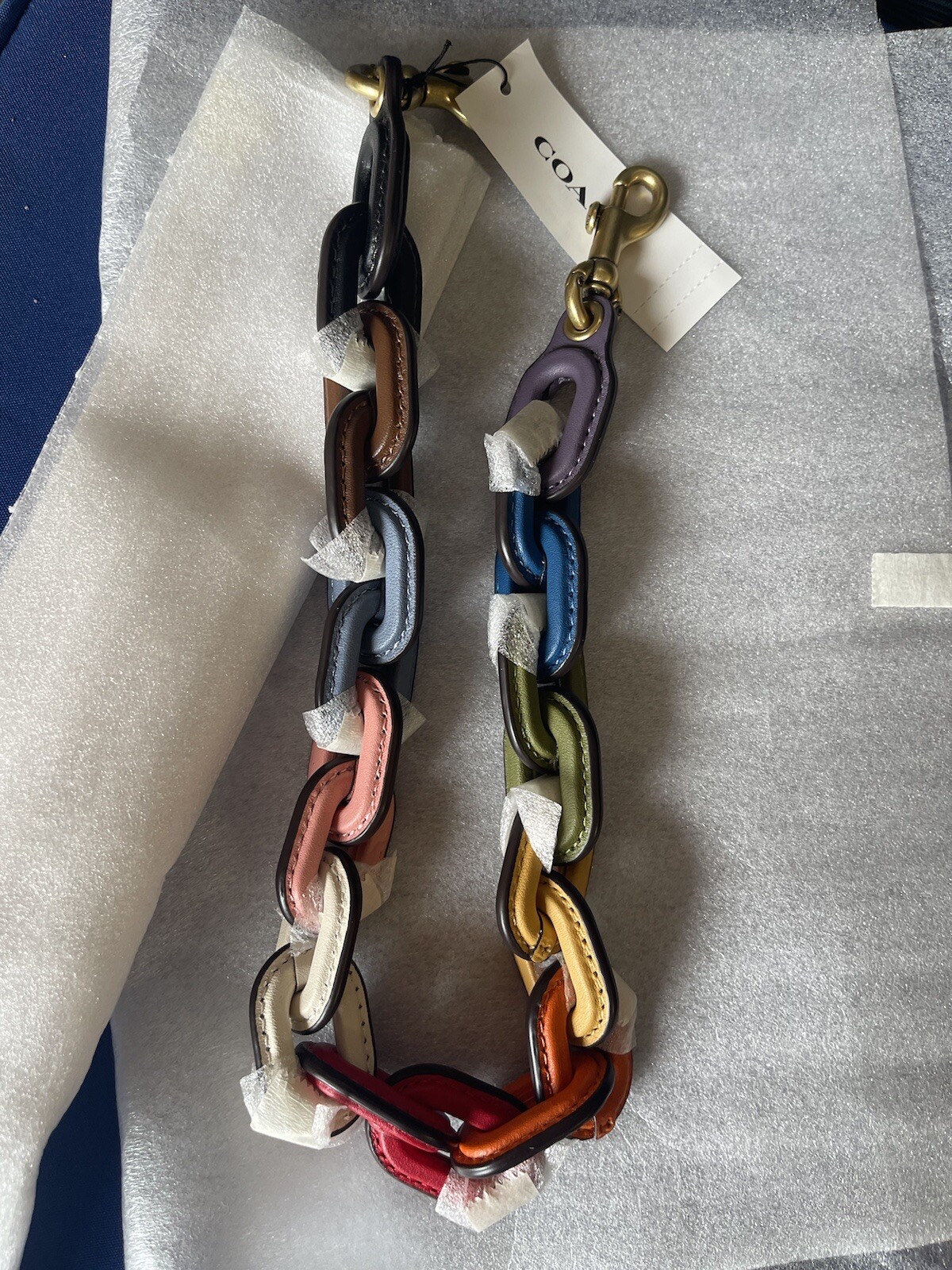 COACH Rainbow PRIDE Leather Covered Short Chain Strap CA220 NWT | eBay