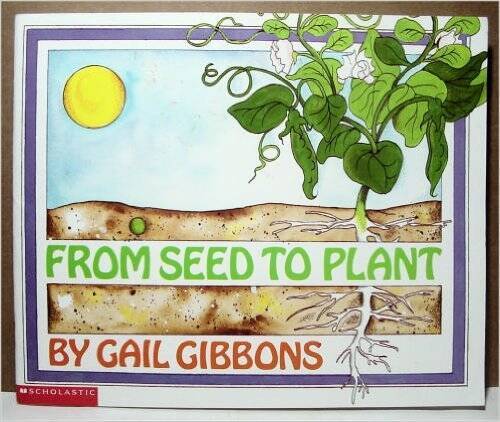 From seed to plant - Paperback By Gibbons, Gail - GOOD | eBay
