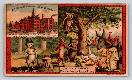 Anthropomorphic Dr Kilmers Parilla Liver Pills Dressed Dog Fox Animal ...