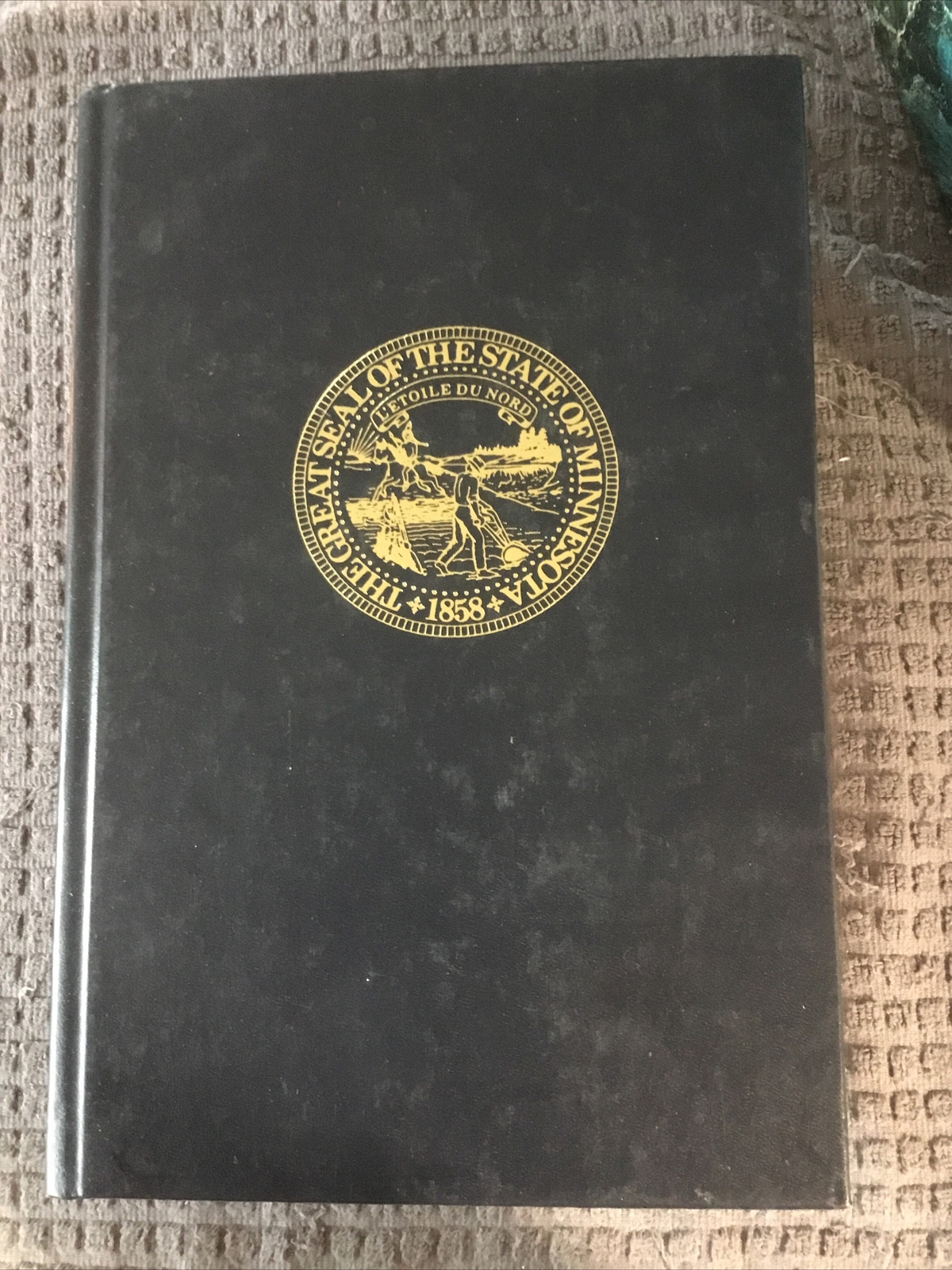 Minnesota Statutes 2022 Chapters 246 To 260B State Copy 8 1A | eBay