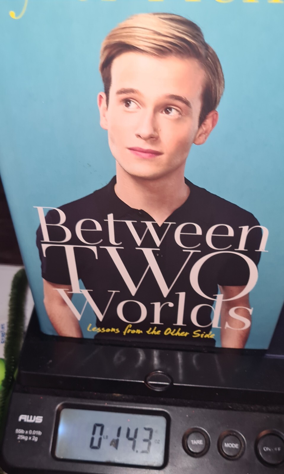 Between Two Worlds : Lessons from the Other Side by Tyler Henry (2016 ...