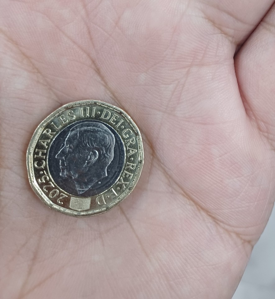 2025 King Charles Bee £1 Coin New Royal Mint | eBay UK