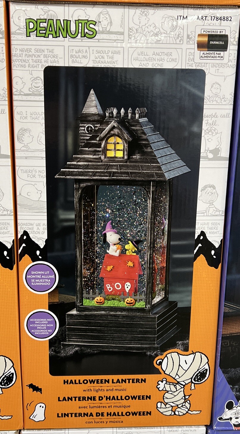 Disney Haunted Peanuts Lantern: Snoopy & Woodstock - Glitter, Lights ...