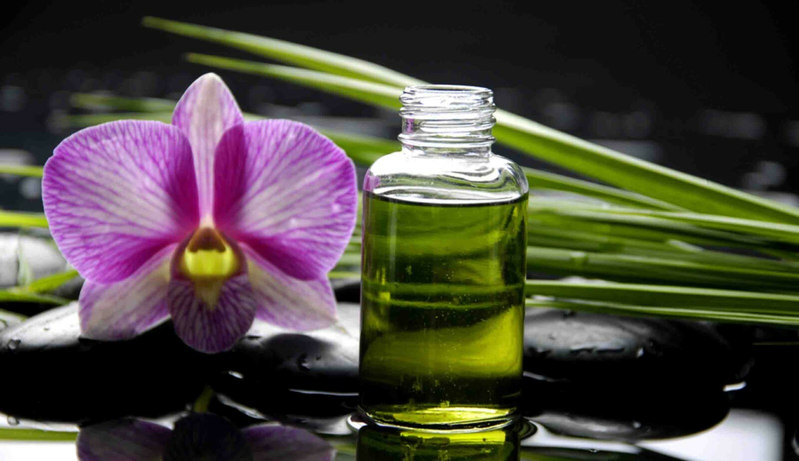 Sale-1-10 CAR/AUTO/HOME AIR FRESHENER SCENT BLOCKS- JASMINE gangster | eBay