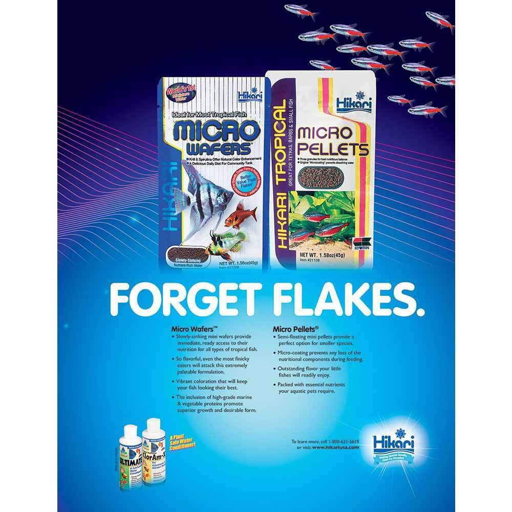 Hikari Micro Pellets 45g Small Tropical Fish Food for Tetras Barbs ...