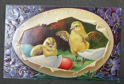 Cute Chicks Hatching in Broken Egg Purple Blue Violets at Border Easter ...