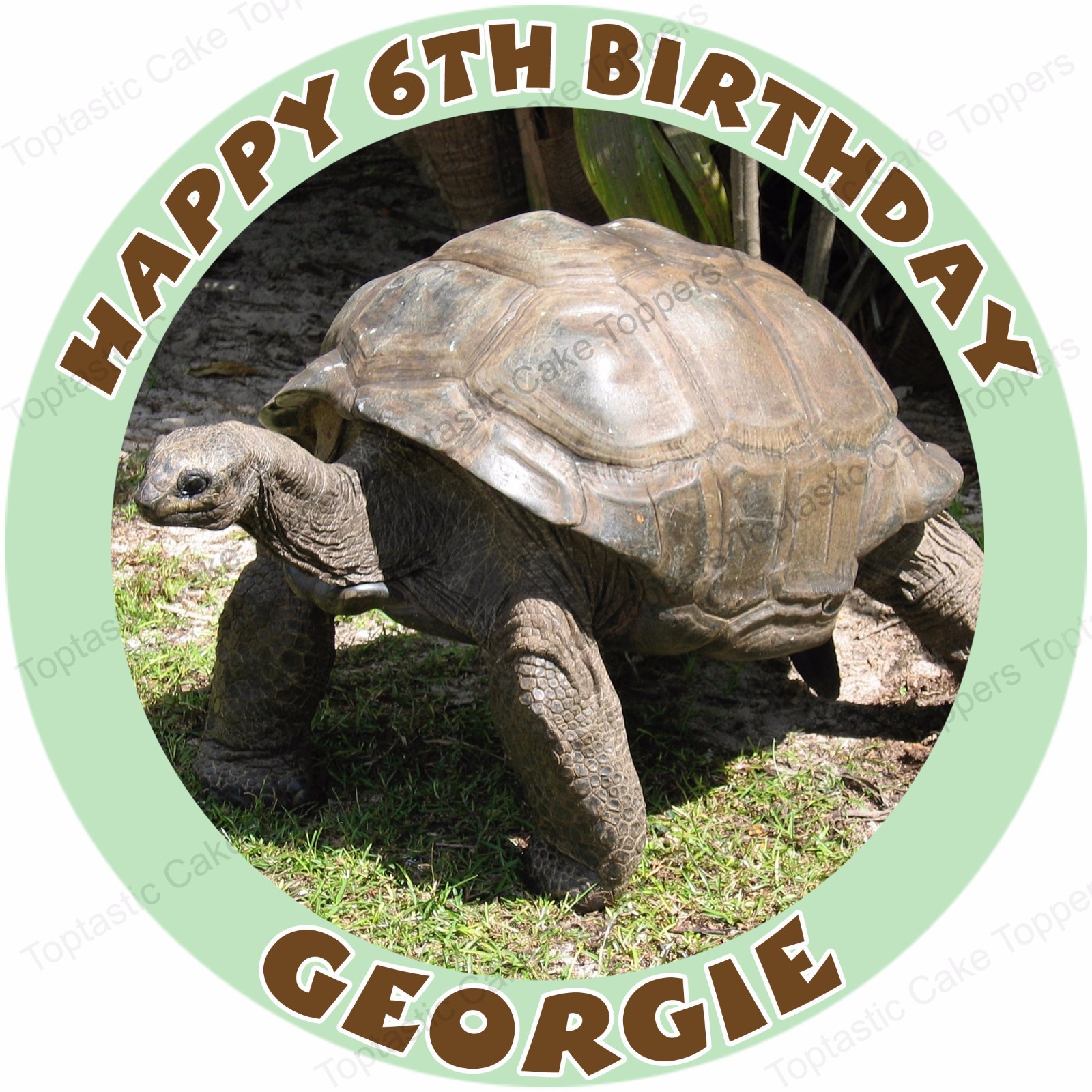 Personalised Giant Tortoise Edible Icing Birthday Party Cake Topper ...