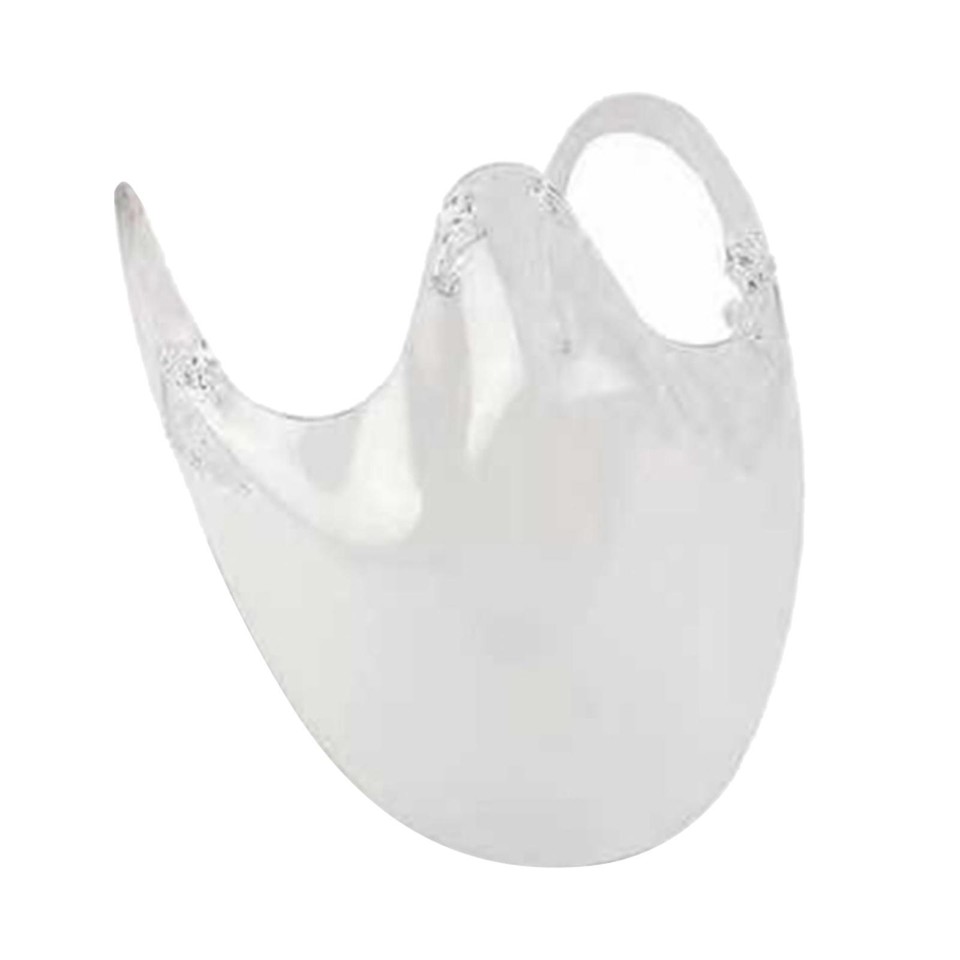 Clear Plastic Face Mask Mouth Shield for Adult Unisex Half Face | eBay UK
