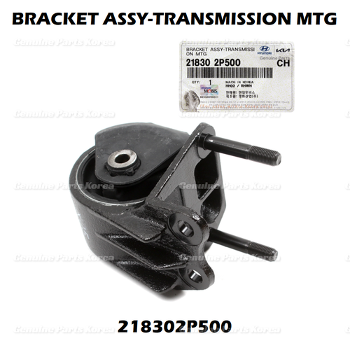 ⭐OEM⭐ Transmission Mount 218302P500(=218302P400) for Hyundai SantaFe ...