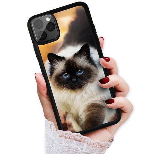 ( For iPhone 12 Pro ) Back Case Cover AJ12918 Ragdoll Cat | eBay
