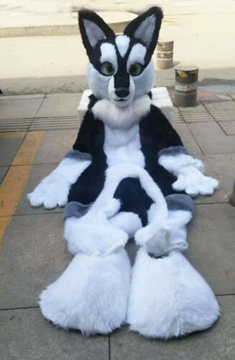 Wolf And Fox Furries
