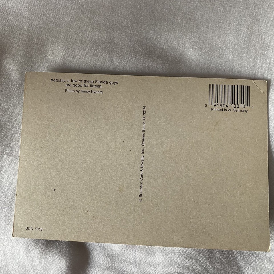 Male Speedo Florida Beach Postcard W. Germany You Know What A Man’s ...