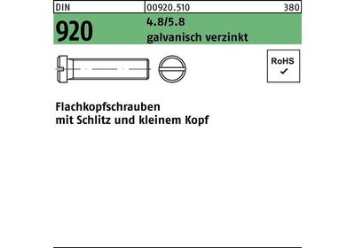 Reyher Flachkopfschraube DIN 920 m.Schlitz M 3 x 10 4.8/5.8 galvanisch verzinkt | eBay