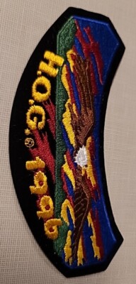 Vintage 1996 HOG Membership Patch HARLEY DAVIDSON OWNERS GROUP ...