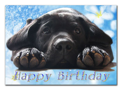 Happy Birthday Dog Images Black Lab