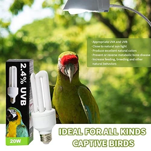 Uva Uvb Light Bulbs For Birds | Shelly Lighting