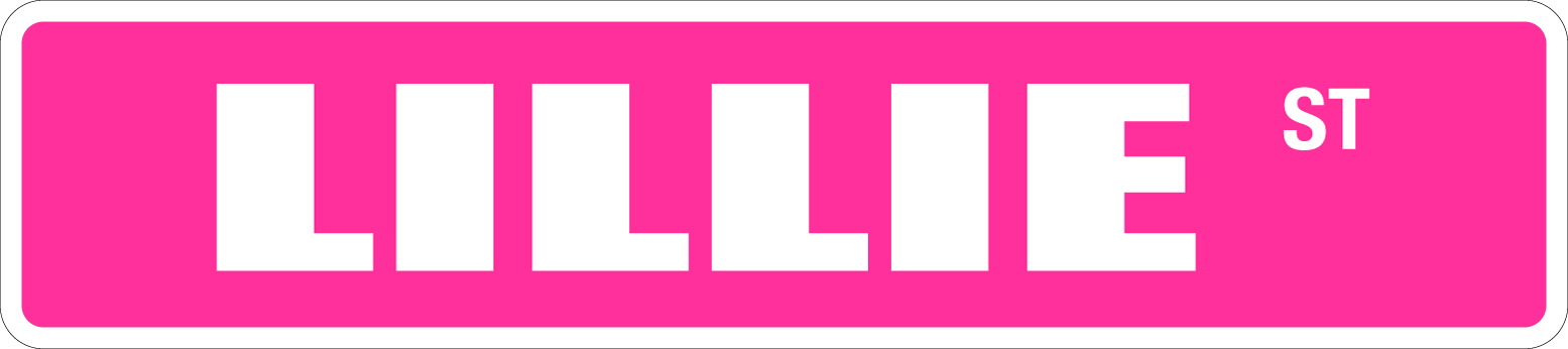 *Aluminum* Lillie 4" x 18" Metal Novelty Street Sign SS 2351 | eBay