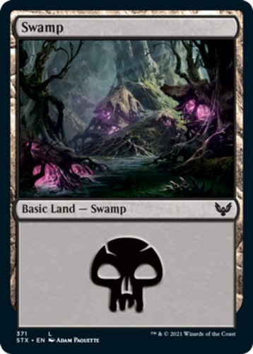 Swamp (371) Light Play, English Magic the Gathering MTG Strixhaven ...