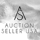 Auction Seller USA | eBay Stores