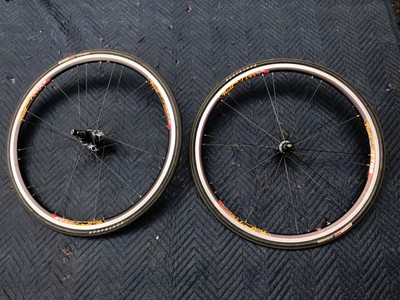 Wheels & Wheelsets - Rolf Vector - Nelo's Cycles