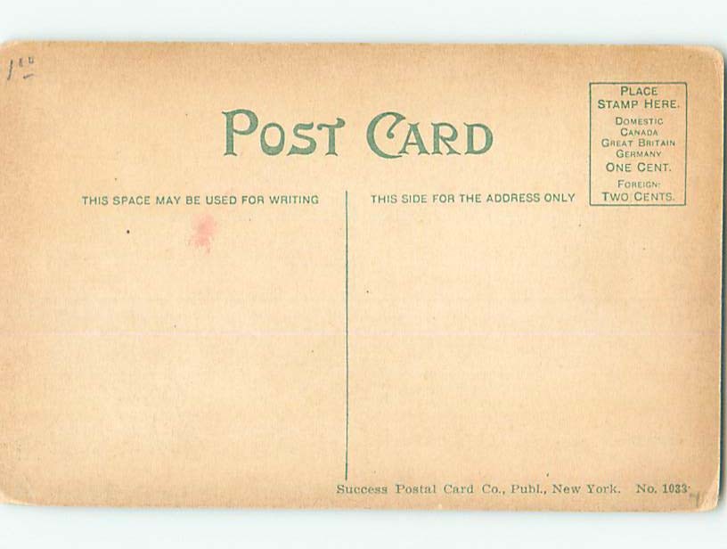 Divided-back BRONX RIVER FALLS Bronx Park - New York City NY j/01 ...